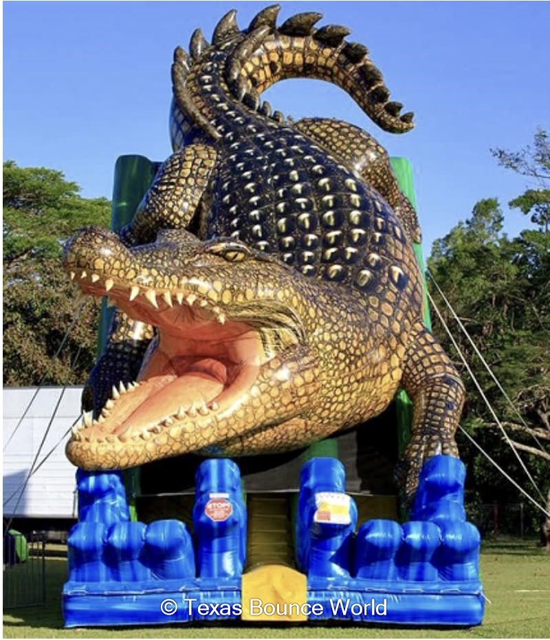 King Croc Water Slide Rental in Katy, TX | Epic Summer Fun